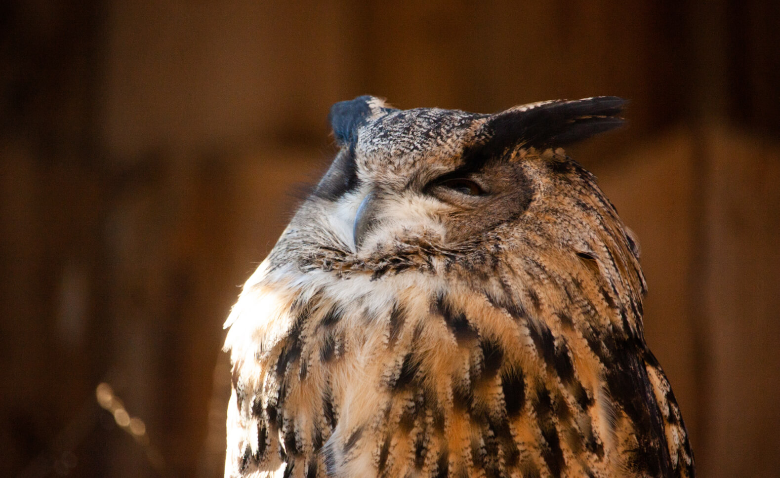 Uudised - Tallinn Zoo
