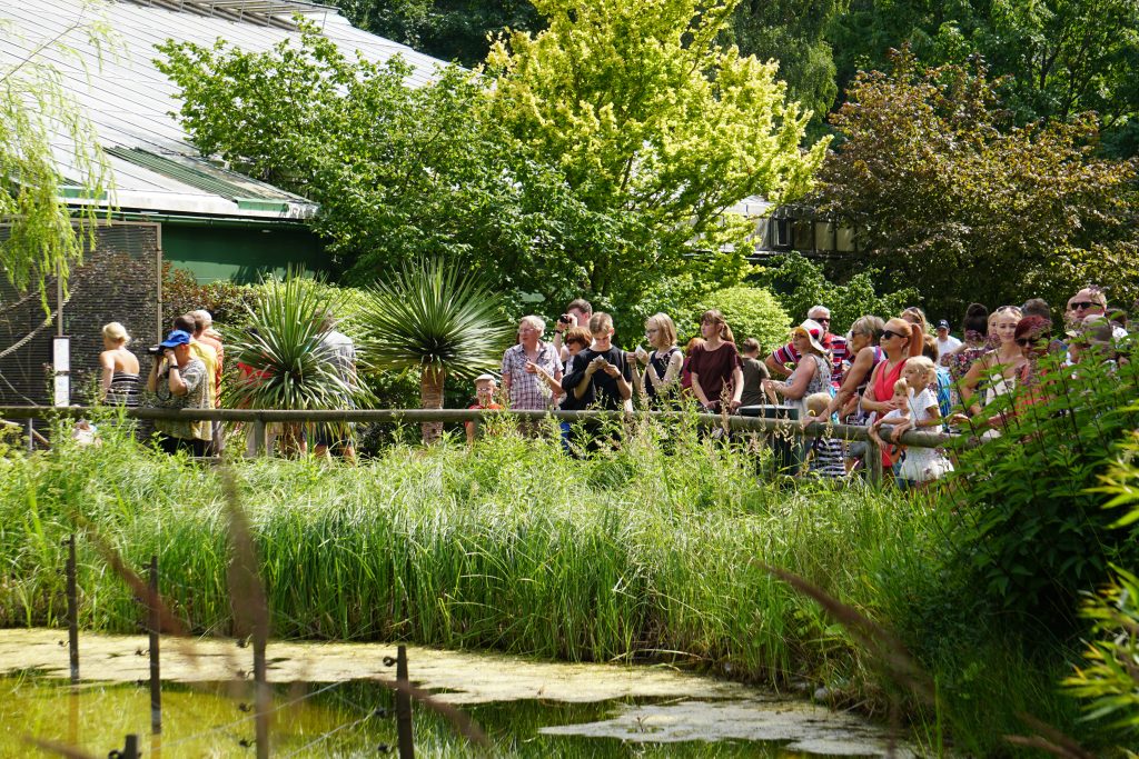 Visiting rules - Tallinna Loomaaed