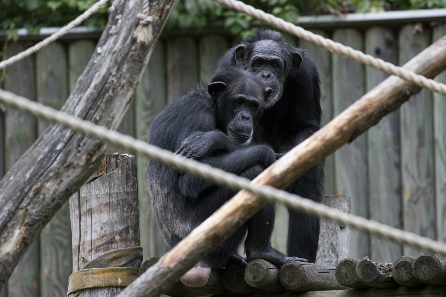 Avaleht - Tallinn Zoo