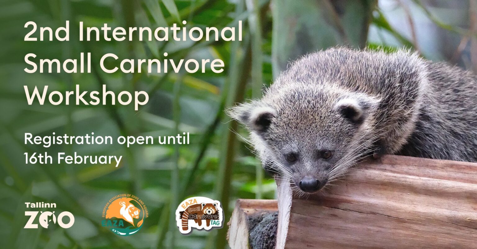 International Small Carnivore Workshop 2025 - Tallinn Zoo